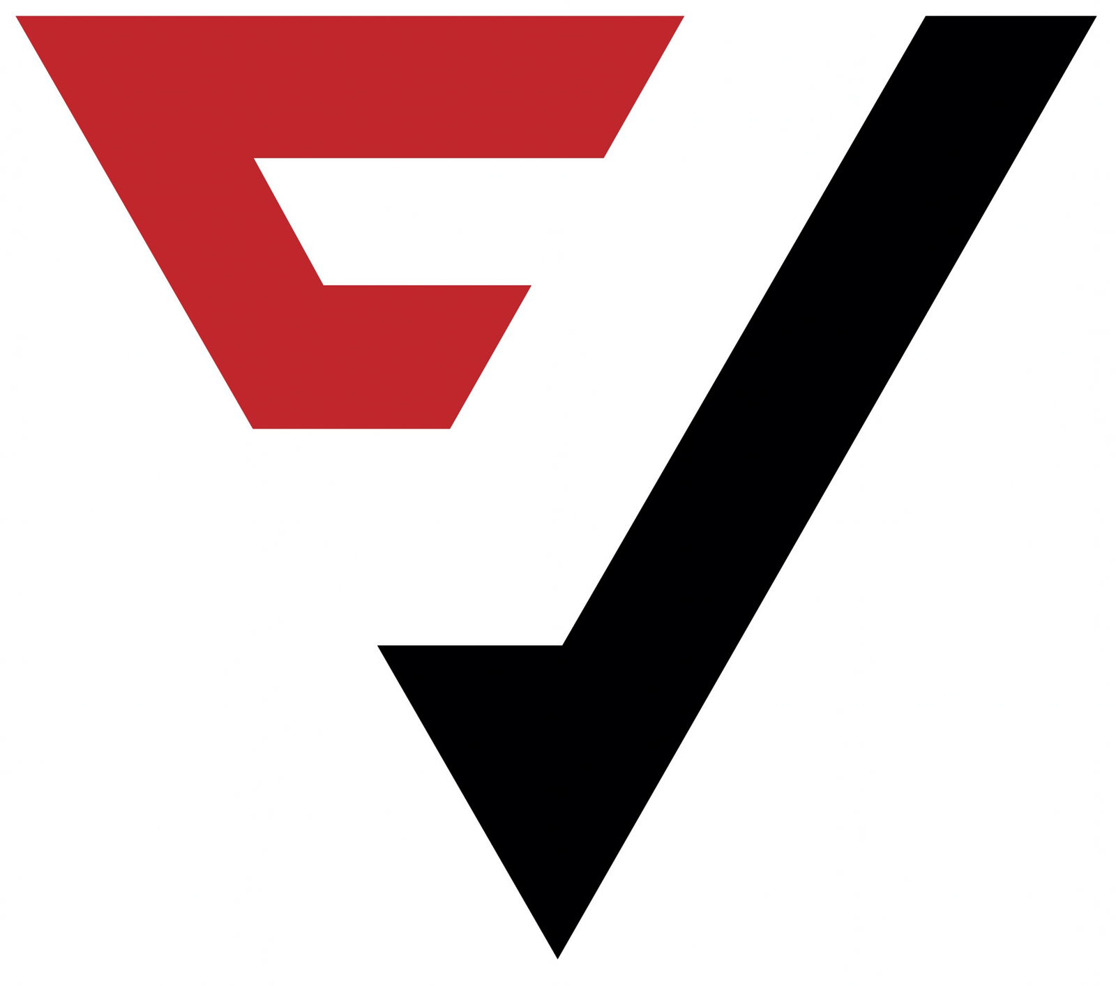 FAQs - FUTURE VALVE GROUP CO., LTD.